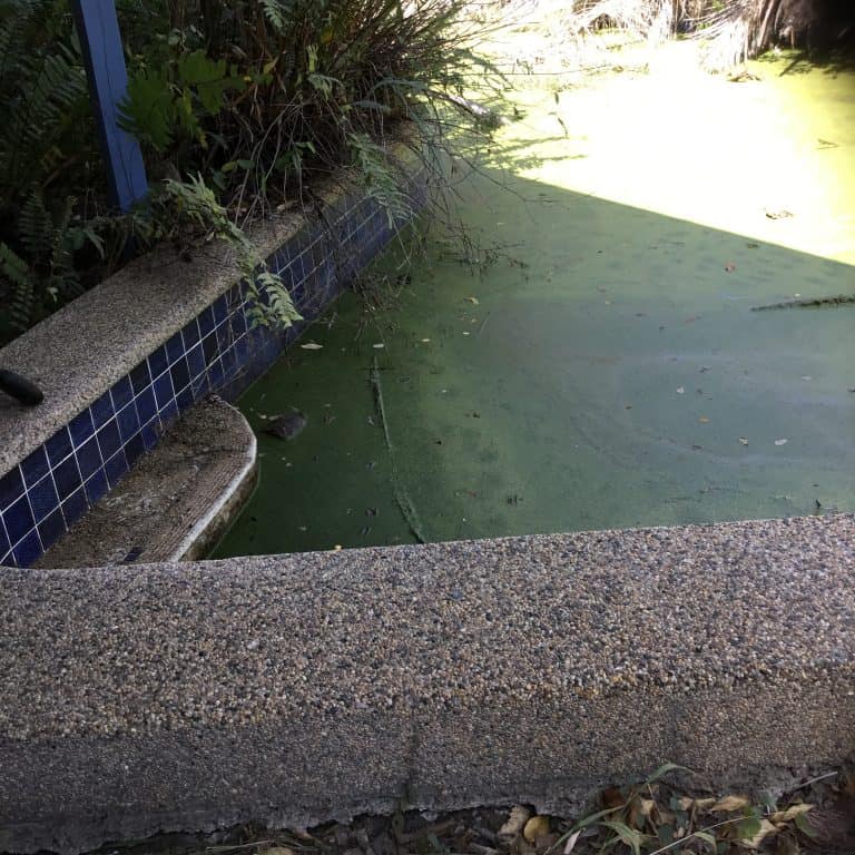 Pool Transformations - Rod Cameron Pools